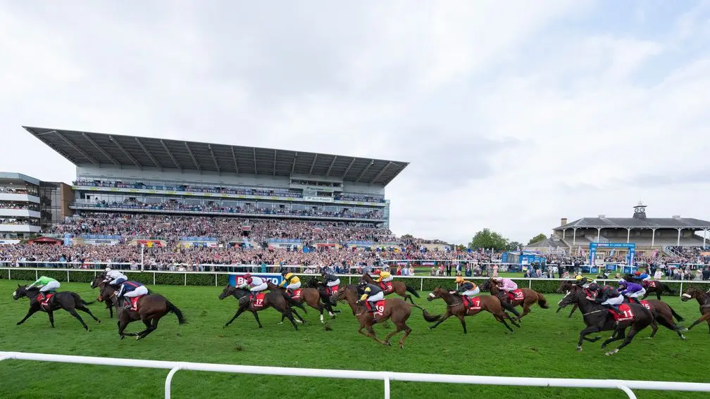 Premium 14/01/2025 Tuesday Horse Racing Tips